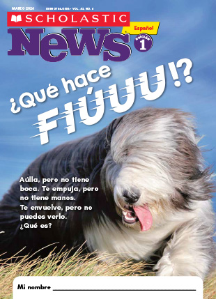 ¿Qué hace FIÚUU!? - March 2026
