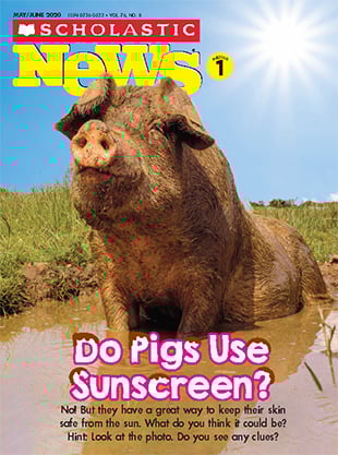 Do Pigs Use Sunscreen? - May / June 2020