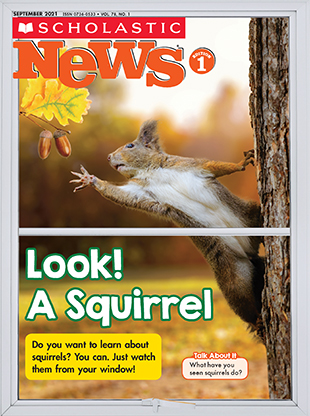 Look! A Squirrel - September 2021