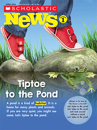 Tiptoe to the Pond - April 2023