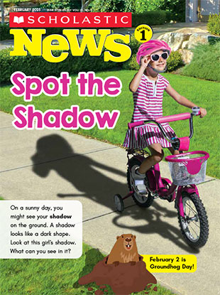 Spot the Shadow - February 2025