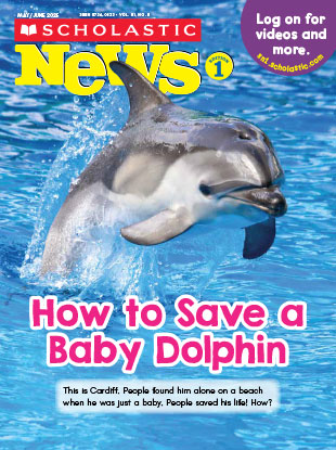 How to Save a Baby Dolphin - May / June 2025