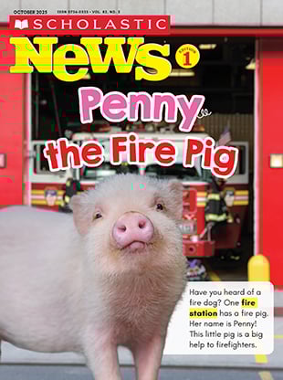 Penny the Fire Pig - October 2025